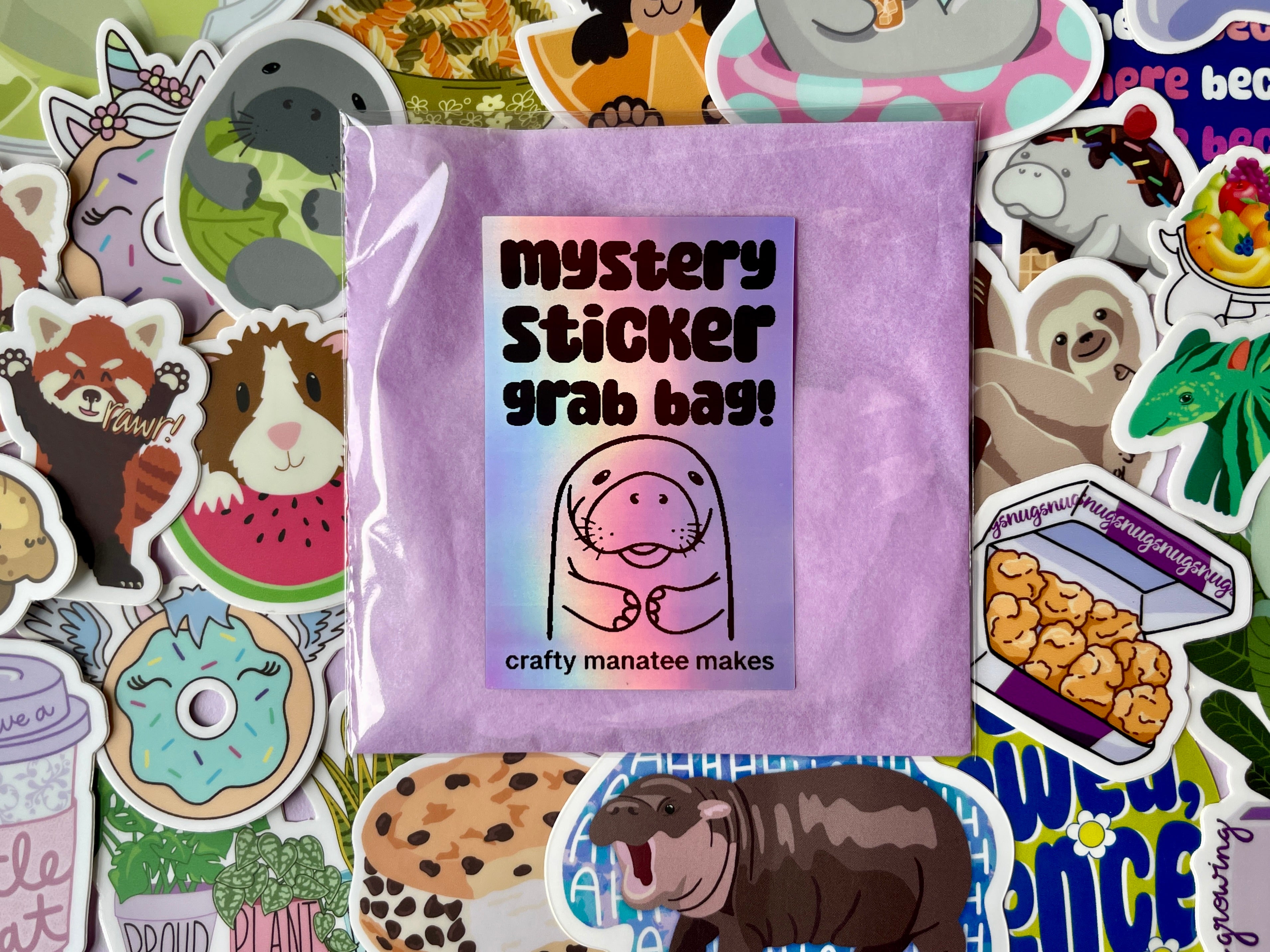 Mystery Sticker Grab Bag - 10 Stickers – Crafty Manatee Makes